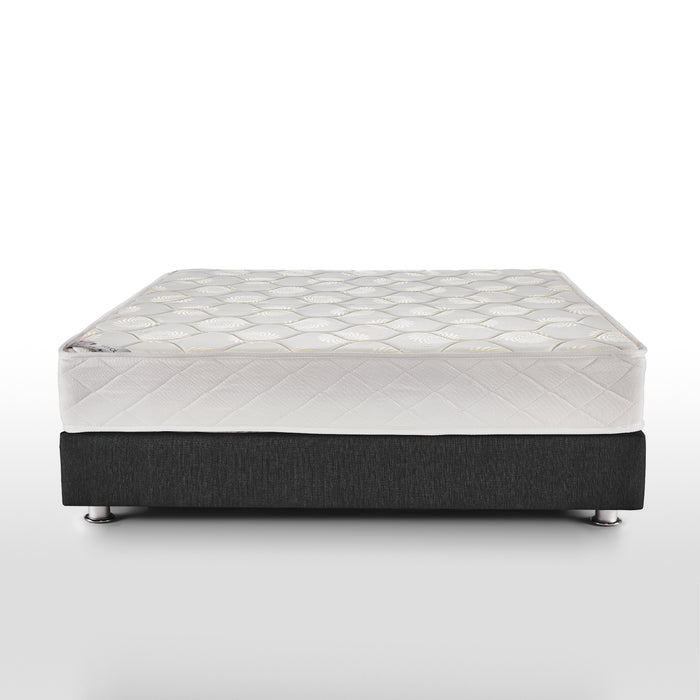 Jansen Prestige Marriott Mattress Cotton Height 22 cm Non-rusting ...